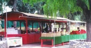 Farmers Market - Madera County Farm Bureau